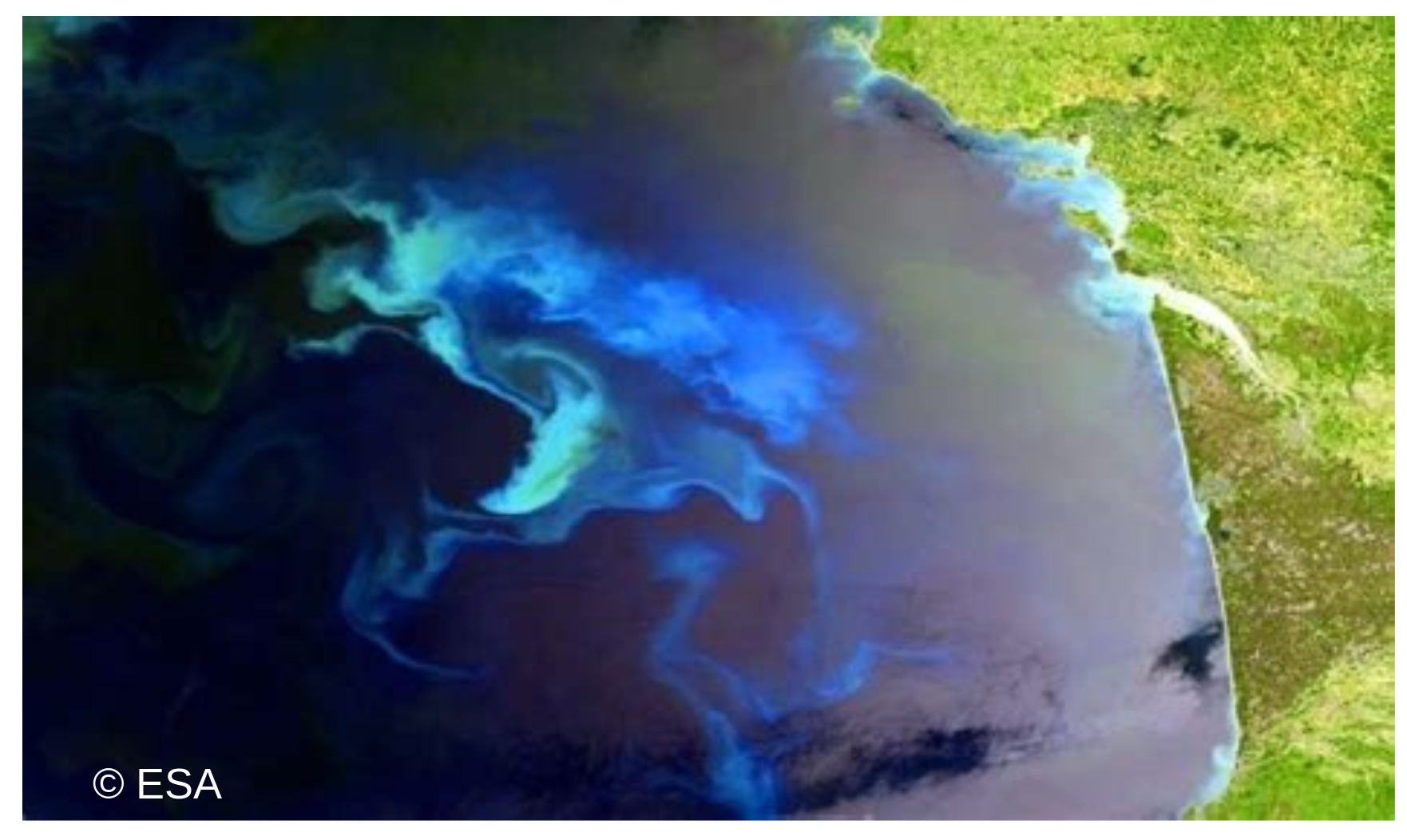 Lexique scientifique - Ecole Universitaire de Recherche en sciences ...