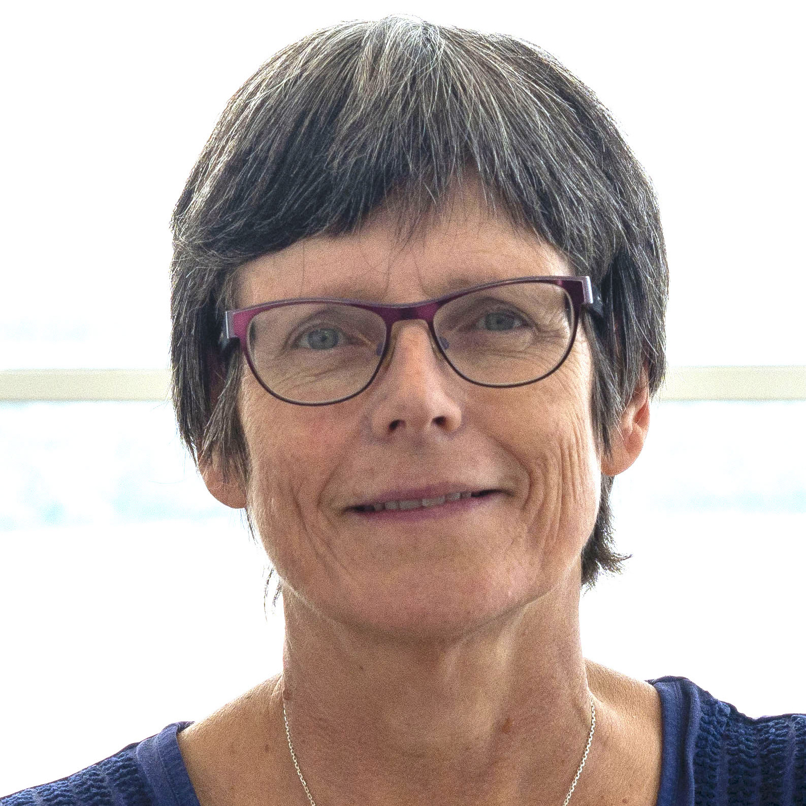 Comité de direction et équipe opérationnelle ISblue - Ecole Universitaire de Recherche en ...